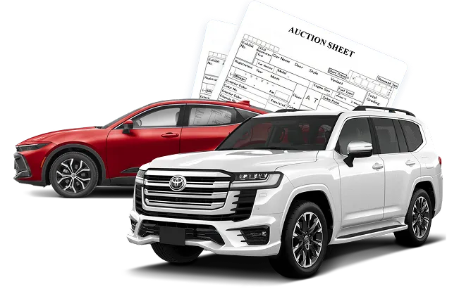 Japan Motor Car Auctions